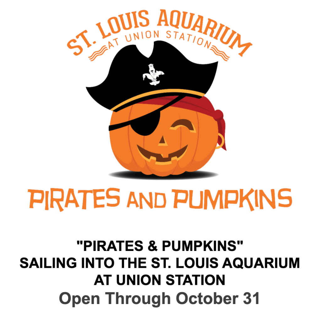 Get in the Mood for Fall: Things to do in or around St. Louis - News ...