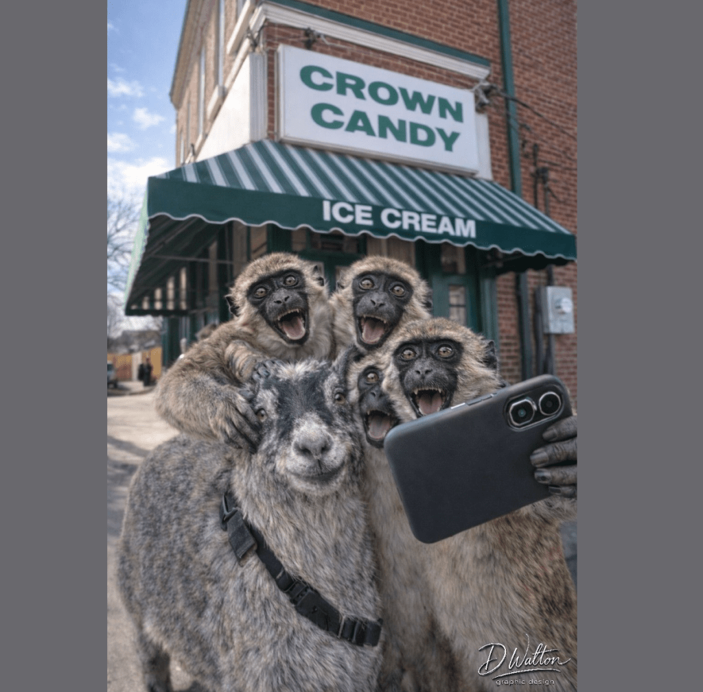 Monkeys and goat stop by Busch Stadium; find out about the graphic ...