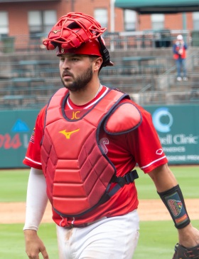 Cardinals pleased with how job-share arrangement is working with ...